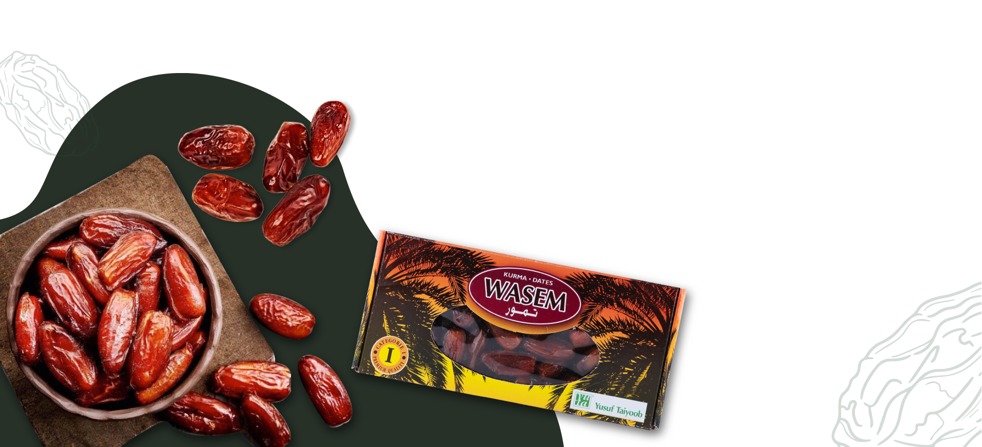 Pembekal Kurma Medjool and Dates in Malaysia | Yusuf Taiyoob